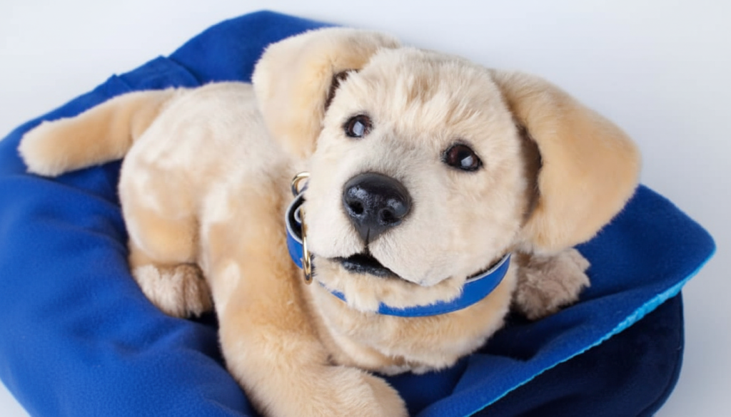 The Jennie Robot Dog Is the Latest Robotic Dog From Tombot